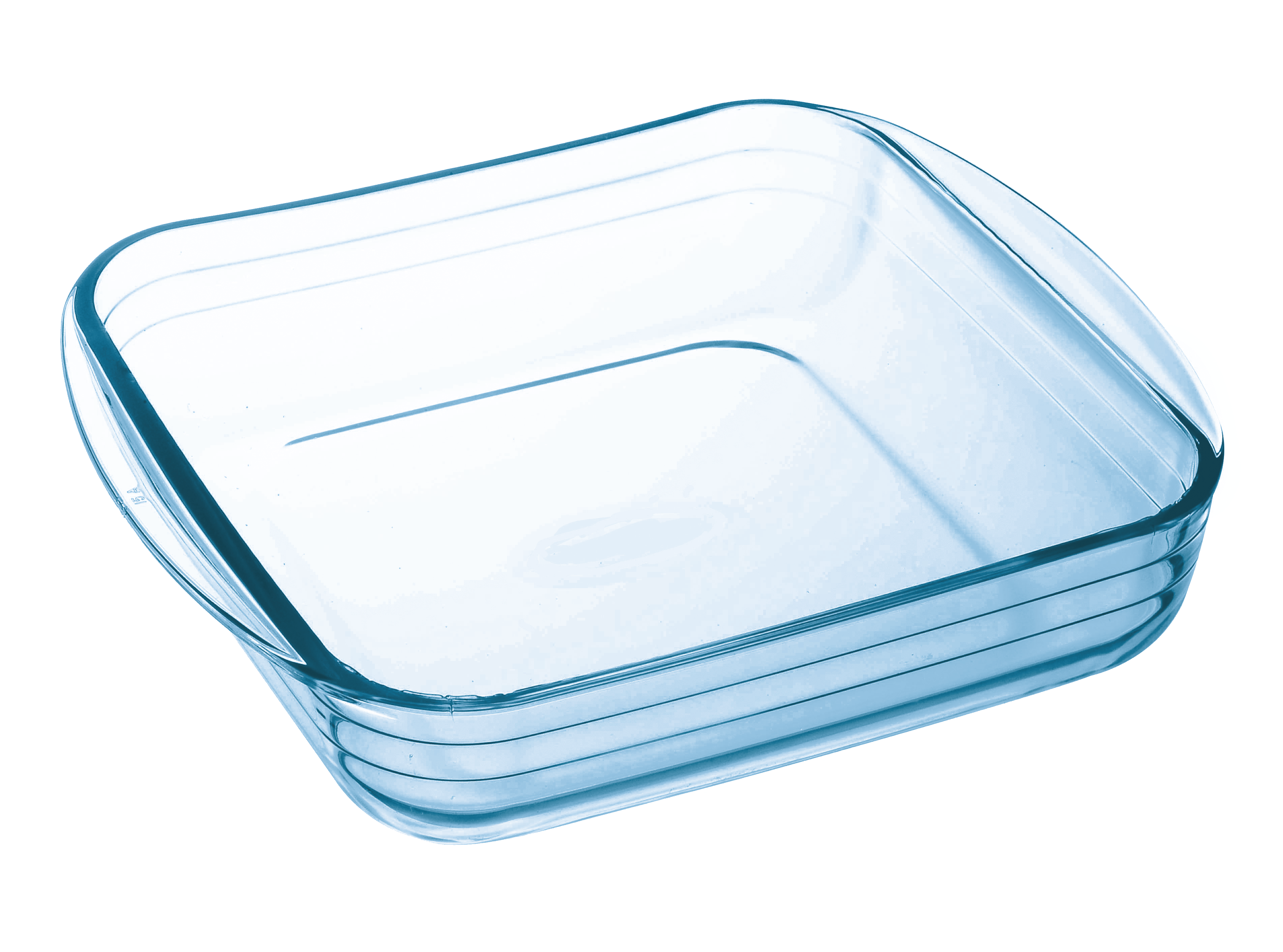 Square Roaster – Ôcuisine cookware